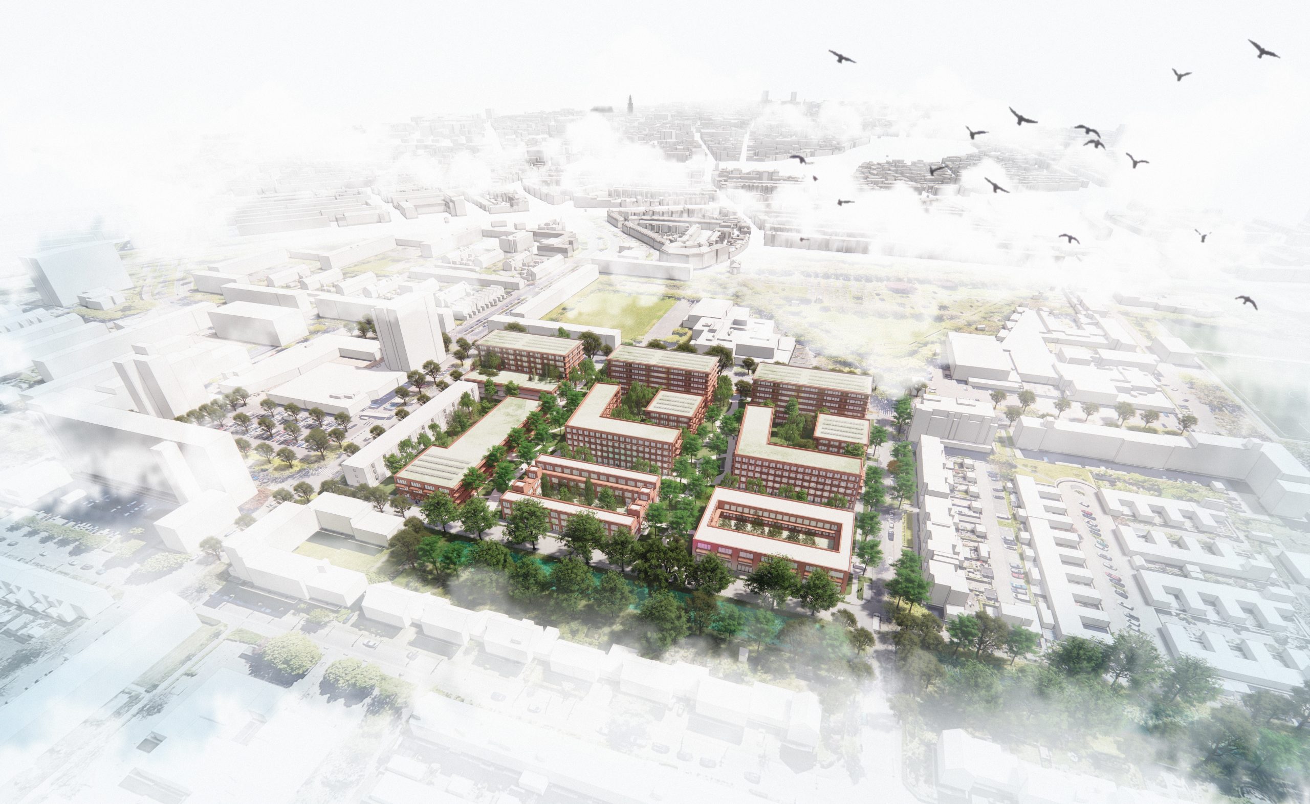 Vernieuwing Selwerd — Meer woningen, meer groen - MUST